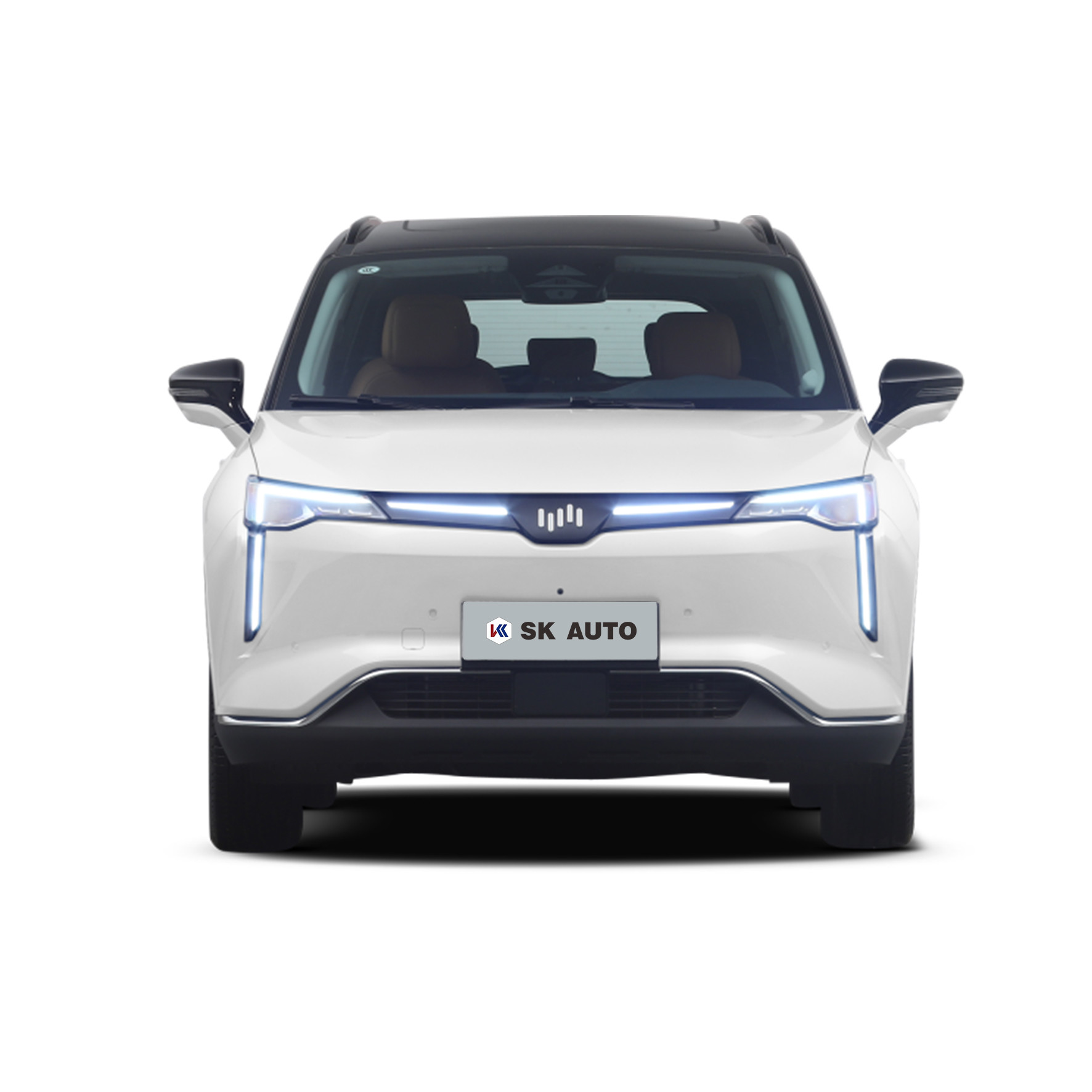 Weltmeister W6 Fully Electric Suv Used Lhd Battery Electric Car 5 Seat ...